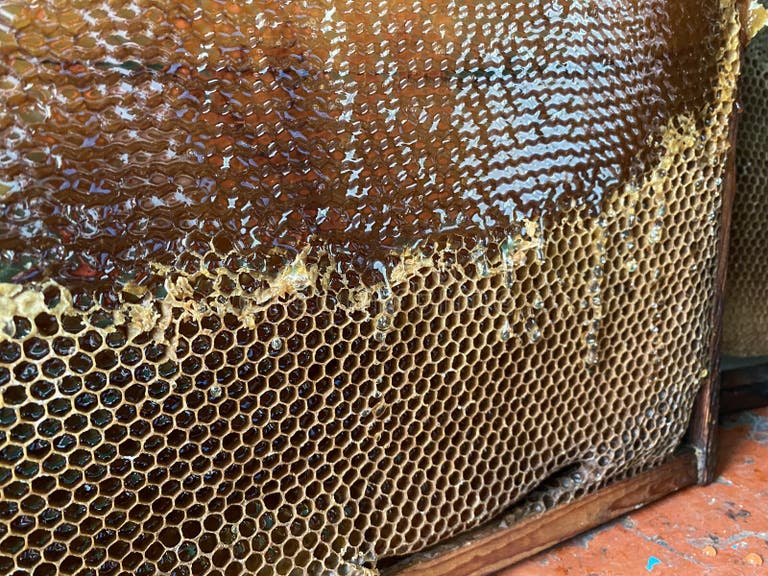 Background Texture and Pattern of a Section of Wax Stock Photo - Image ...