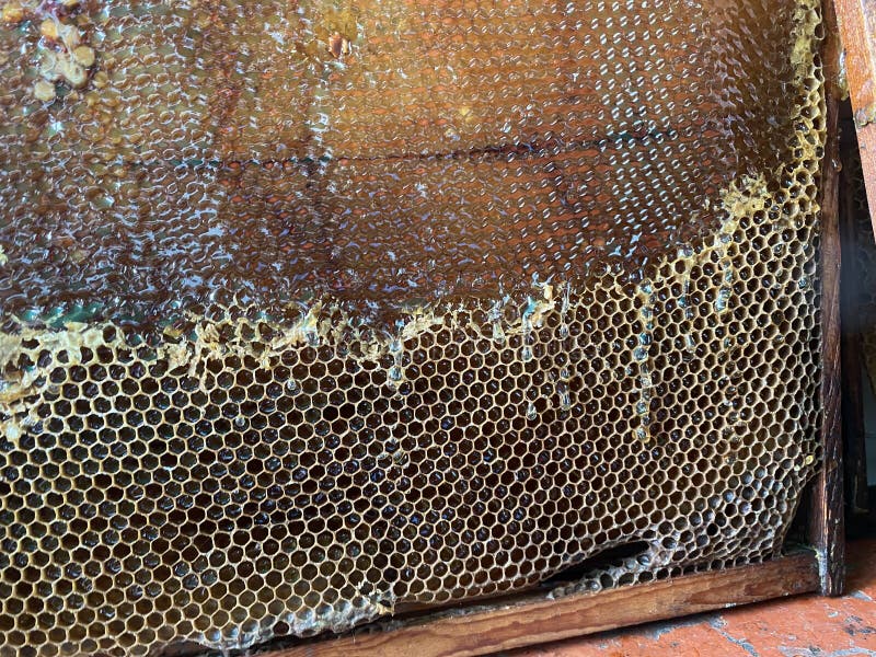 Background Texture and Pattern of a Section of Wax Stock Photo - Image ...