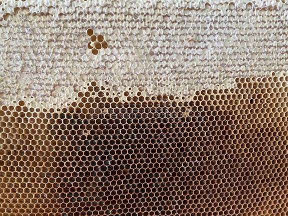 Background Texture and Pattern of a Section of Wax Stock Image - Image ...