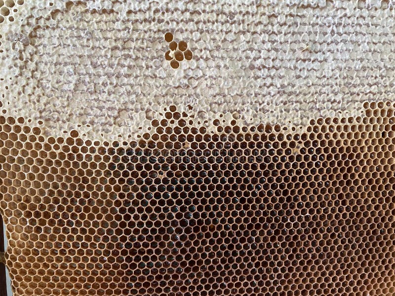 Background Texture and Pattern of a Section of Wax Stock Image - Image ...