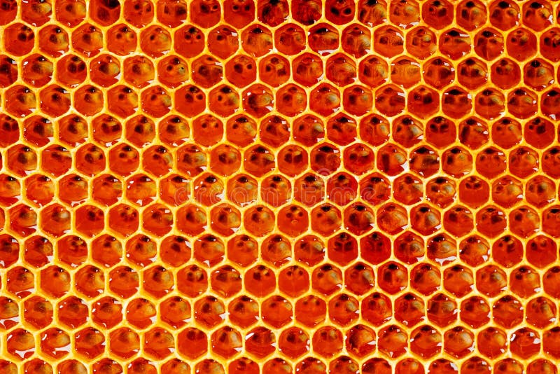 Background Texture and Pattern of a Section of Wax Honeycomb from a Bee ...