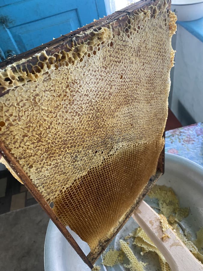 Background Texture and Pattern of a Section of Wax Stock Image - Image ...