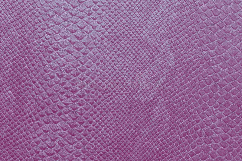 651 Pink Snake Skin Stock Photos - Free & Royalty-Free Stock Photos ...