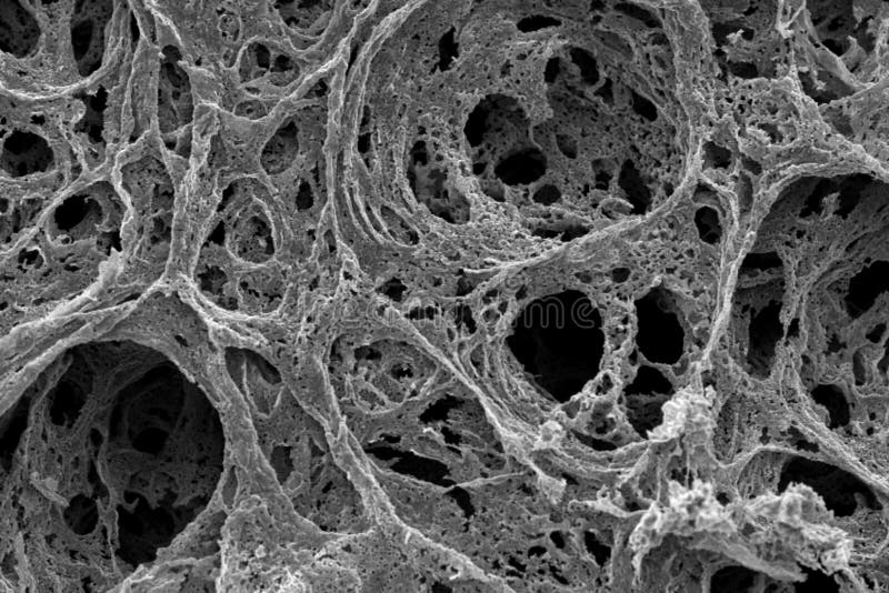 Porous material texture stock photo. Image of bright - 24046598