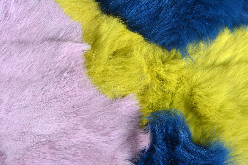 Pink Blue and Yellow Rabbit Fur Background Texture on the Wooden Table ...