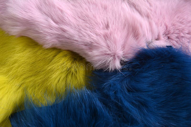 Pink Blue and Yellow Rabbit Fur Background Texture on the Wooden Table ...