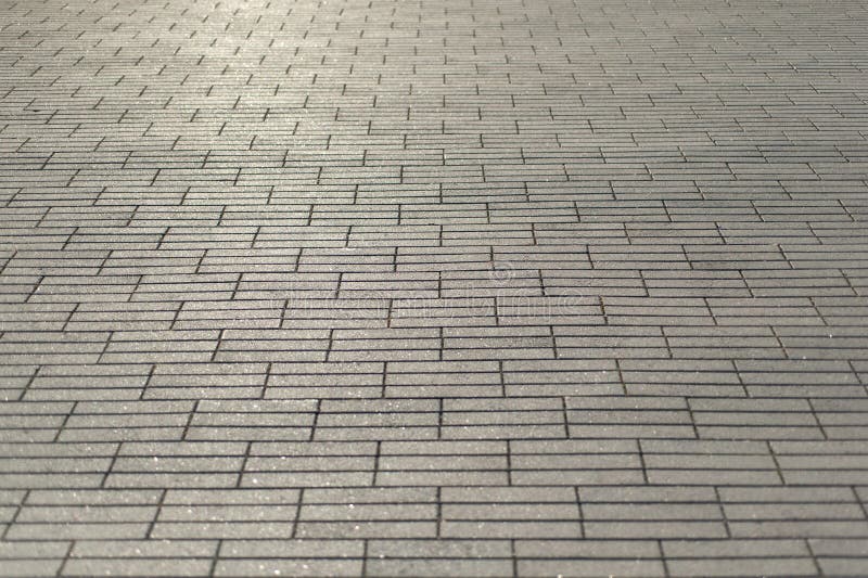 Background Texture Rectangular Paving Slabs Leaves in Perspective Stock ...