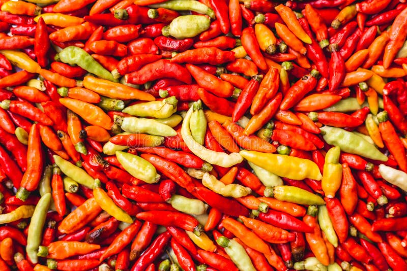 Background of Red Chili. Ingredient for Cooking Stock Image - Image of ...