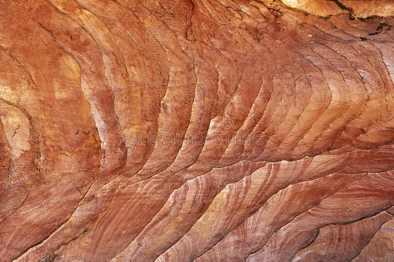 Background, Texture, Remnants of Corals Stock Photo - Image of ...