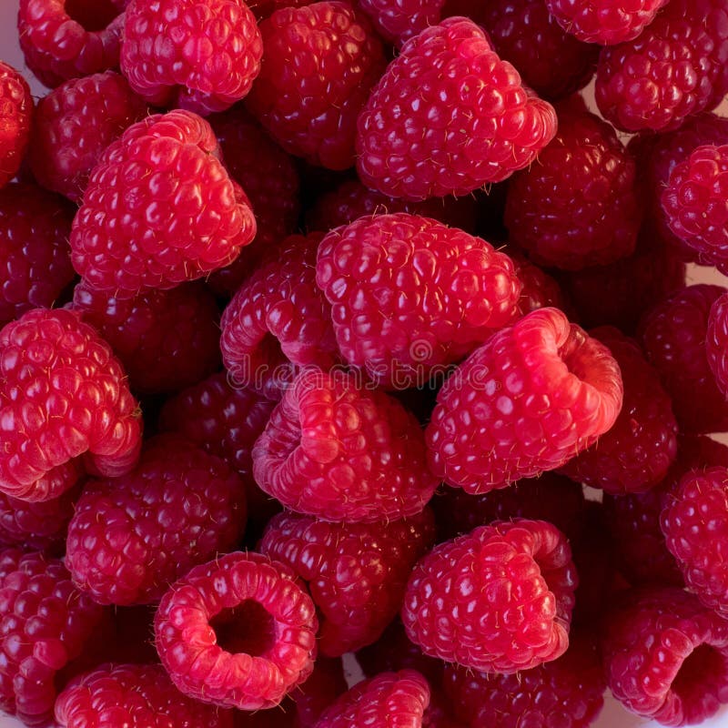 Background Texture of Ripe Fresh Red Raspberries Stock Image - Image of ...