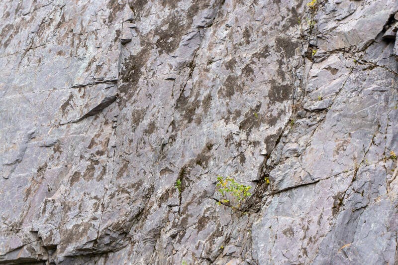 Background, Texture Rough Stones of a Stone Cliff Stock Photo - Image ...