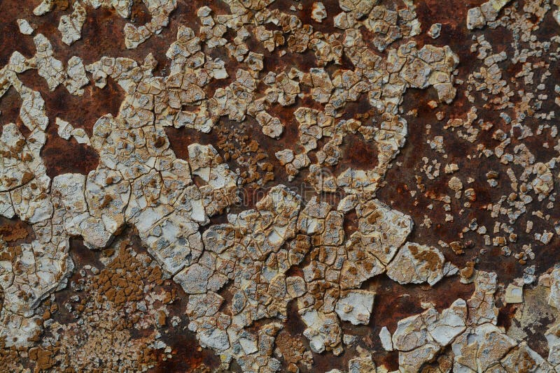 Background Texture of Rusted Steel Stock Image - Image of design ...