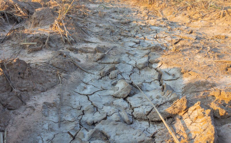 Saline soil stock photo. Image of ground, closeup, abstract - 242621056