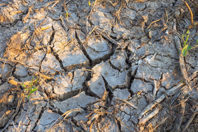 Saline soil stock image. Image of environment, rough - 242803145