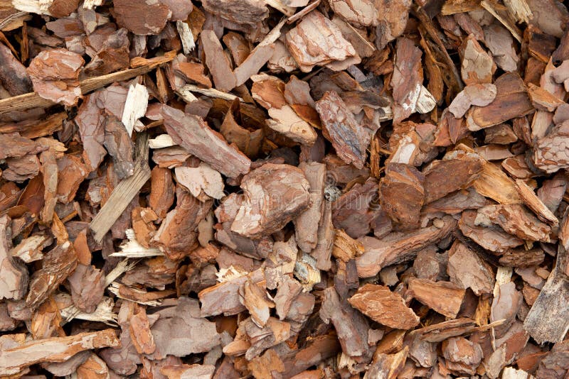 Background Texture of Scattering of Pine Bark Chips. Stock Photo ...