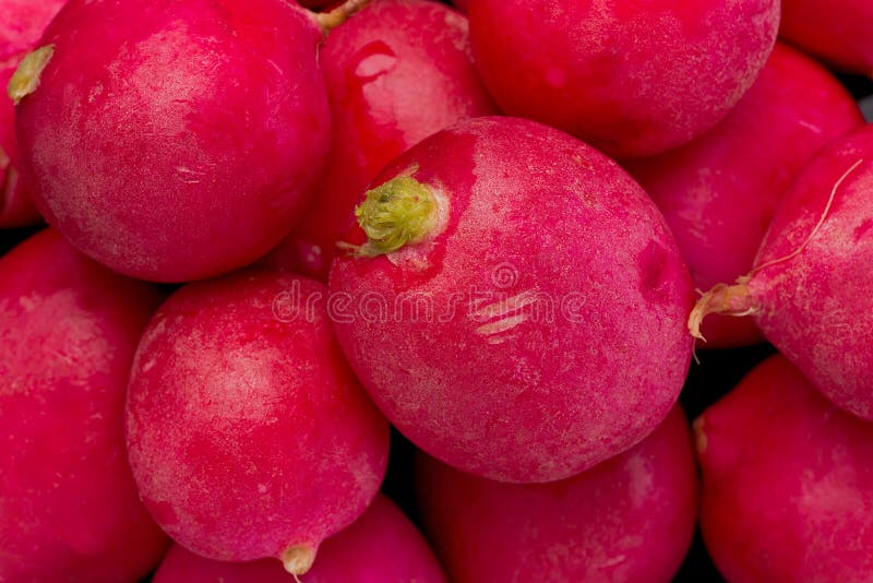 Whole Red Radishes stock image. Image of closeup, ingredient - 125176319