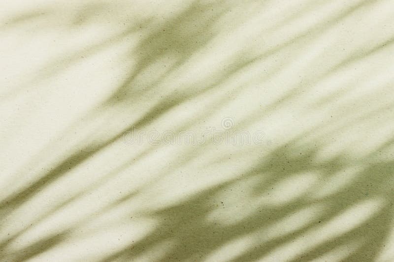 Background of Texture and Shadow Abstract. Pastel Green Colors Stock ...
