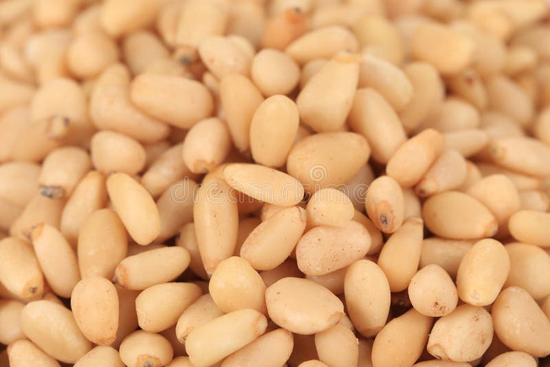 Background Texture of Shelled Pine Nuts. Stock Image - Image of food ...