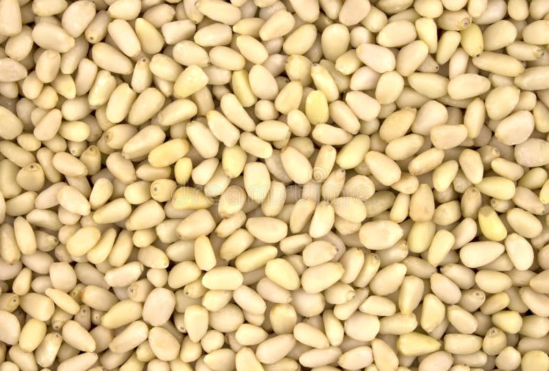 Background Texture of Shelled Pine Nuts Stock Photo - Image of pine ...