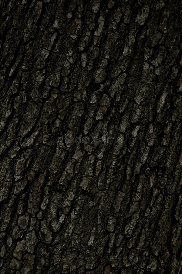 Background Texture stock photo. Image of geometric, creative - 259899368