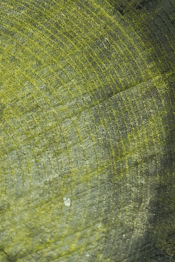 Background Texture stock photo. Image of design, decoration - 259899464