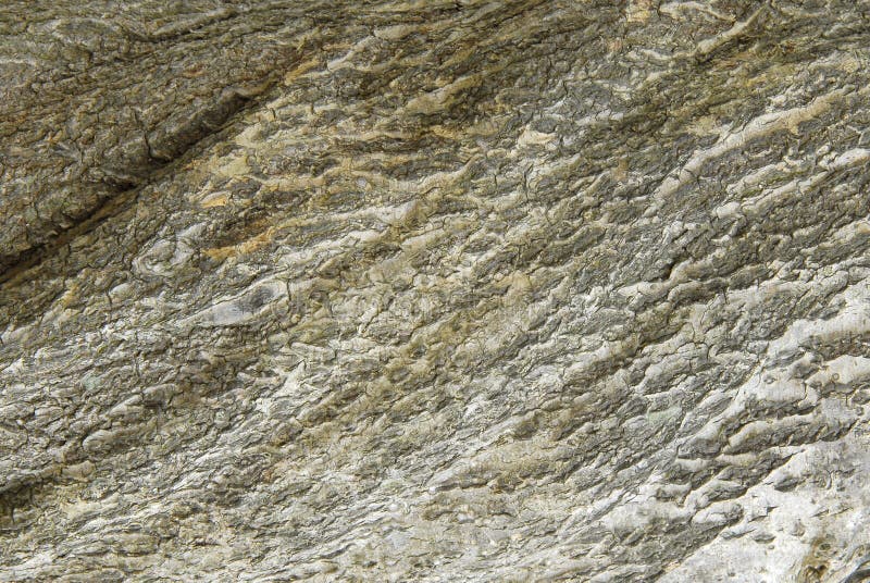 Background Texture stock image. Image of fabric, elegant - 259899517