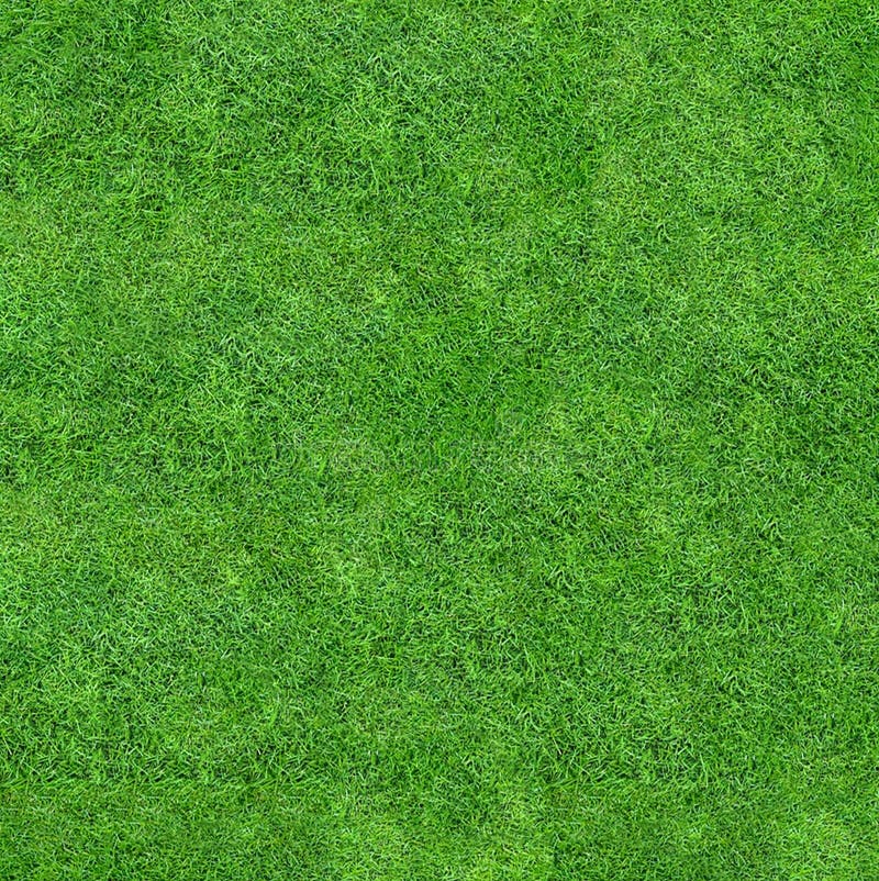 Background Texture of Short-cropped Green Grass Close-up Stock Image ...