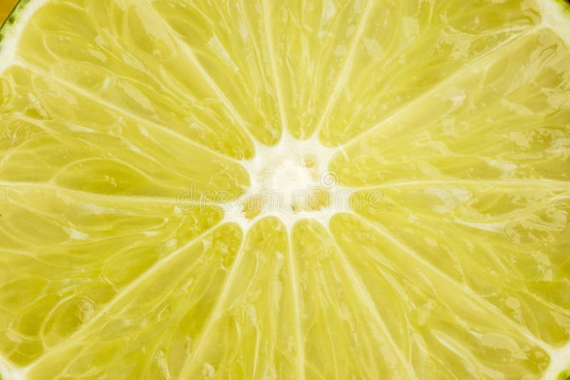 Citrus pulp pellets stock photo. Image of small, macro - 21313266