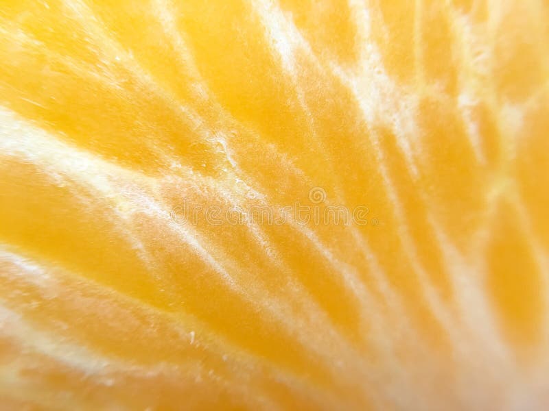 Background or Texture from Slice of Orange and Burns. Orange Bright ...