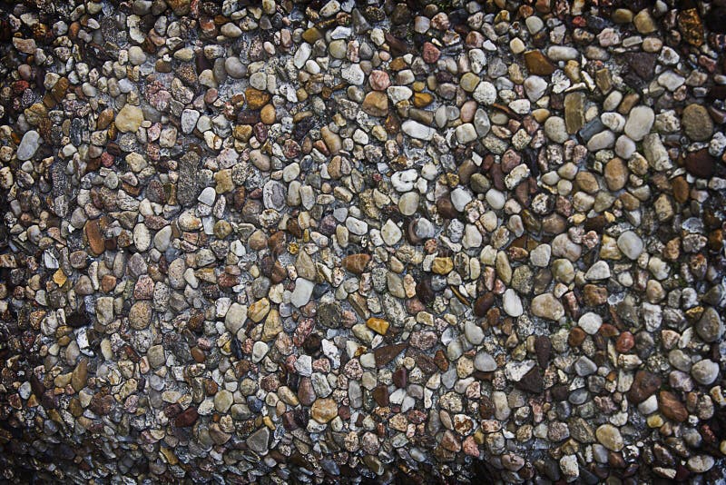 Texture of small pebbles stock photo. Image of texture - 195077550