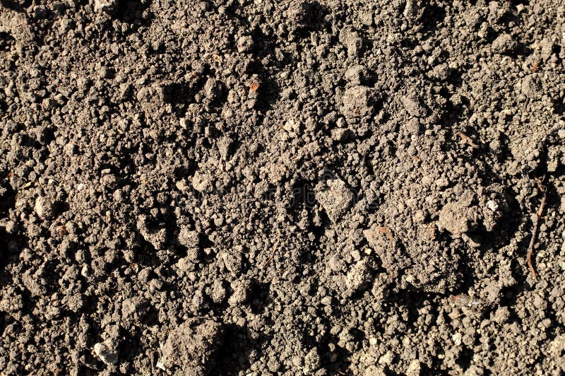 Background or Texture of Soil in Rural. Black Earth, Humus. Stock Image ...