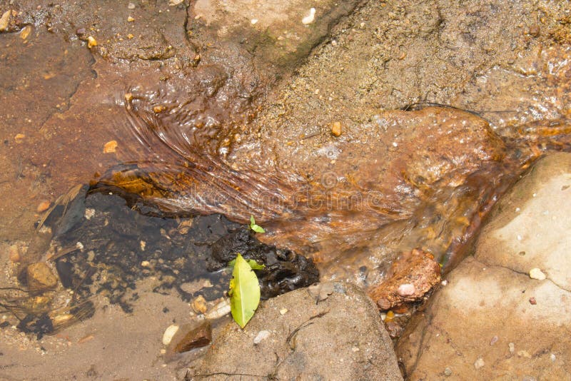 Background or Texture Spring Fresh Water Stream Stock Image - Image of ...