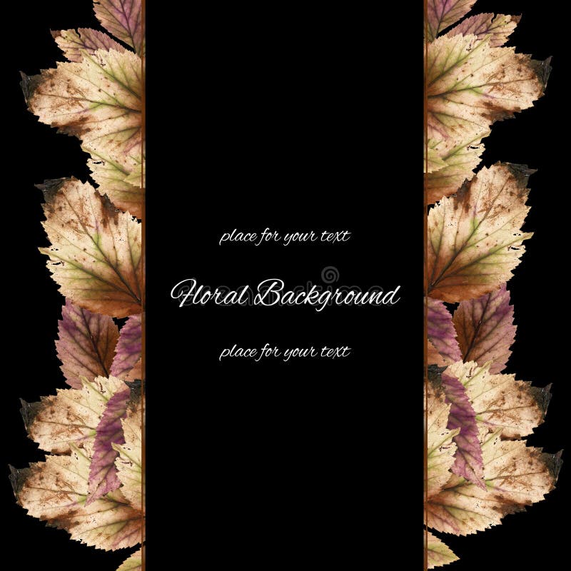 Background Texture Stone Berry Leaves and Place for Text Stock ...