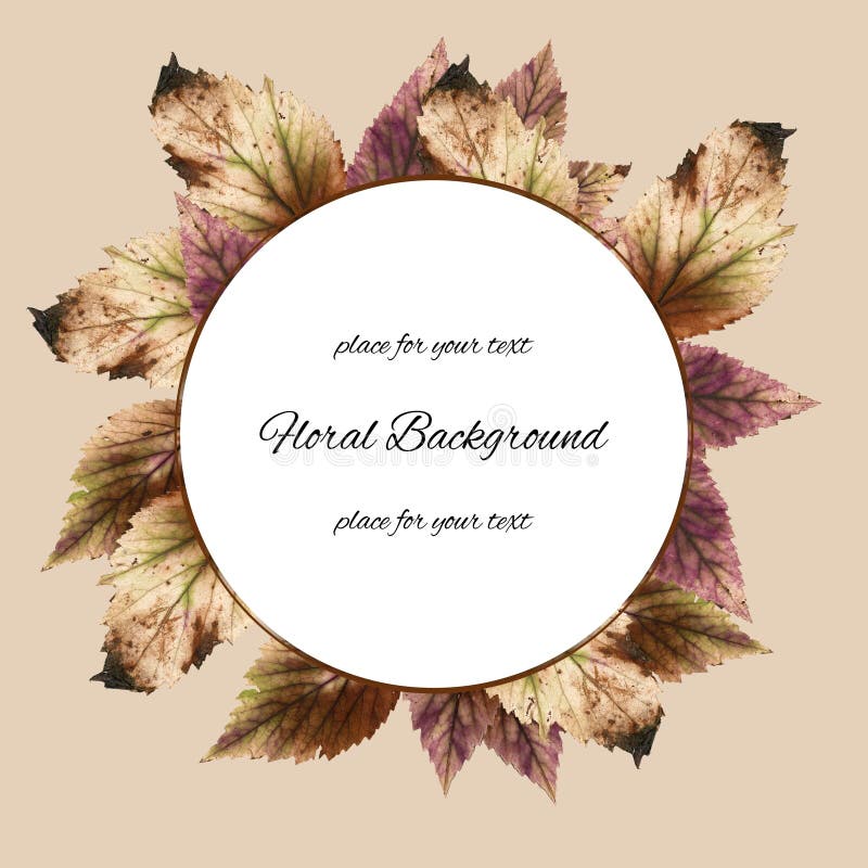 Background Texture Stone Berry Leaves and Place for Text Stock ...