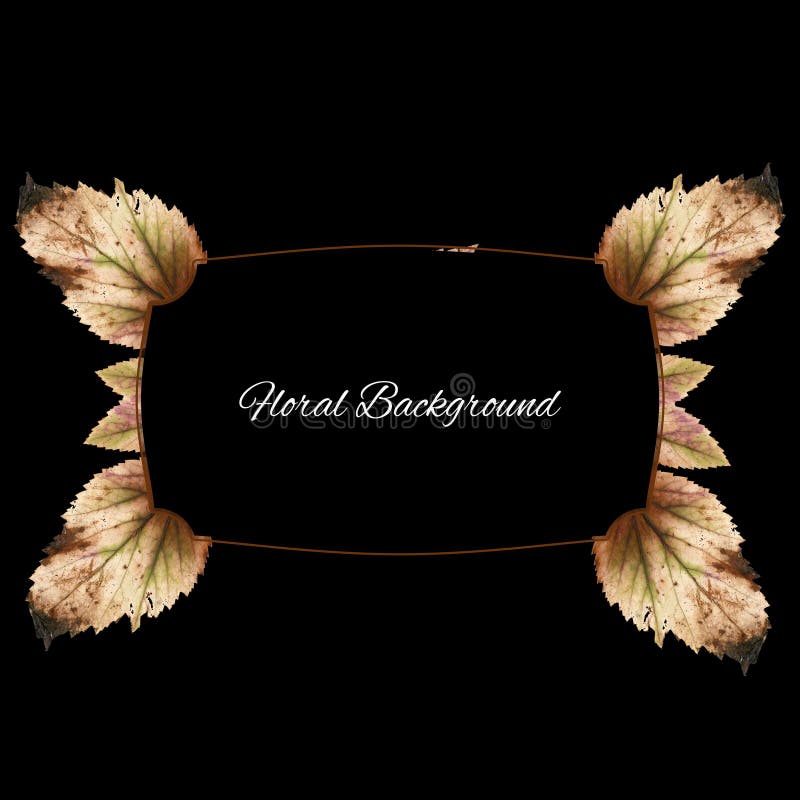 Background Texture Stone Berry Leaves and Place for Text Stock Photo ...