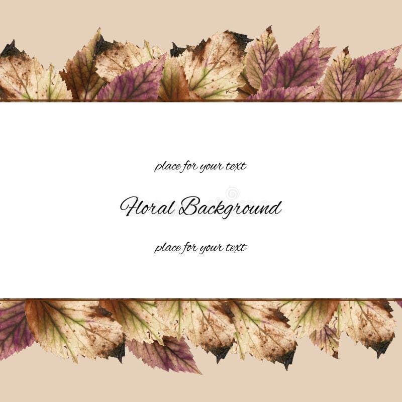 Background Texture Stone Berry Leaves and Place for Text Stock Photo ...