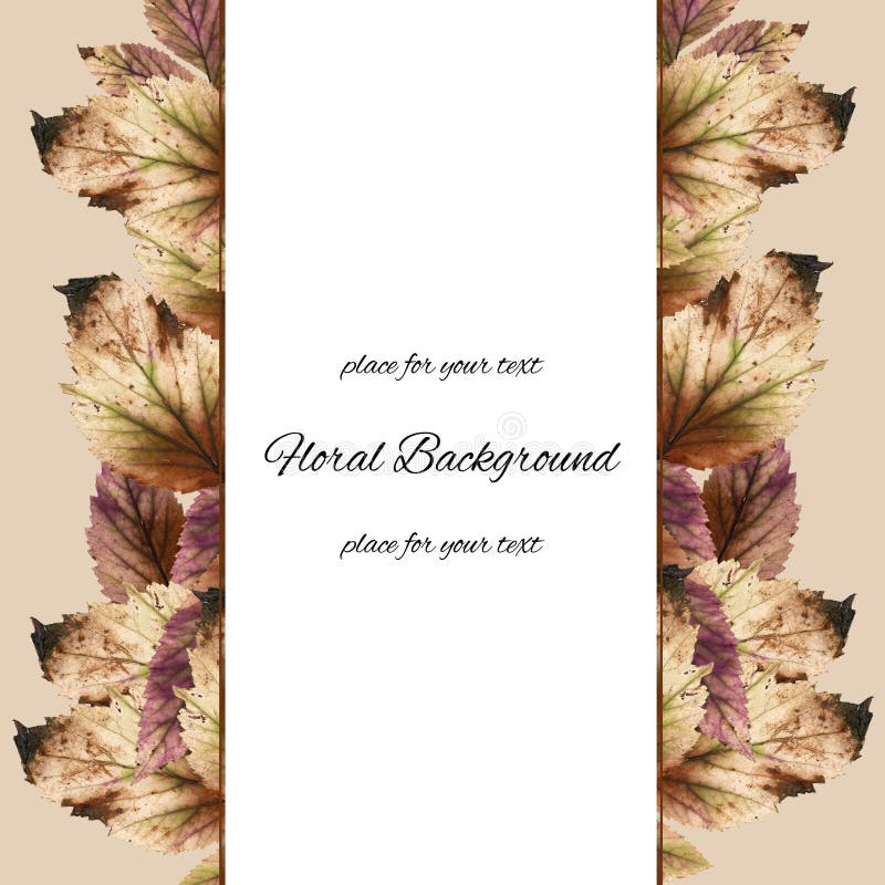 Background Texture Stone Berry Leaves and Place for Text Stock ...