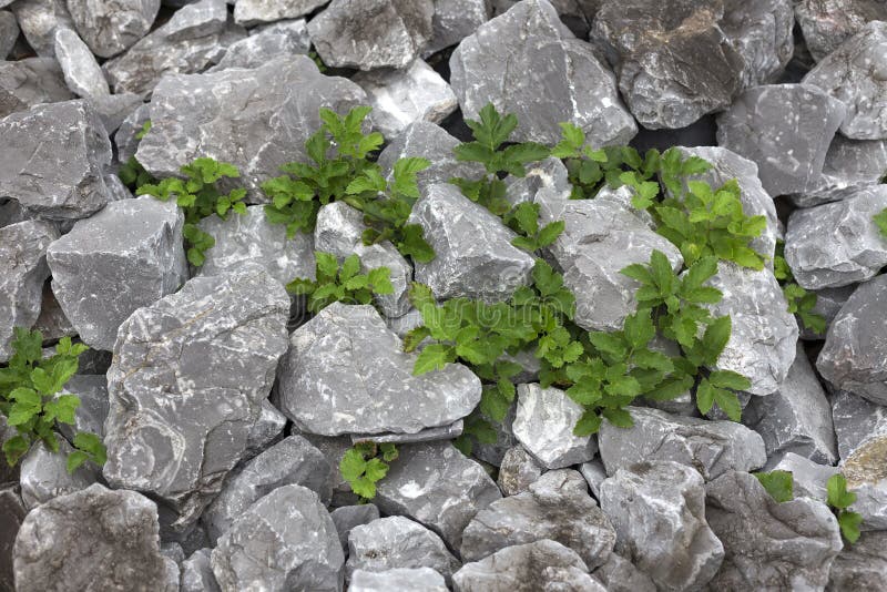 Background Texture of Stone with High Resolution. Stock Photo - Image ...