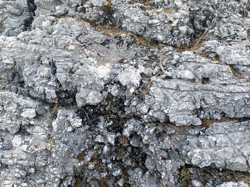 Background, Texture, Stone Natural Gray Surface Natural Sharp Convex ...