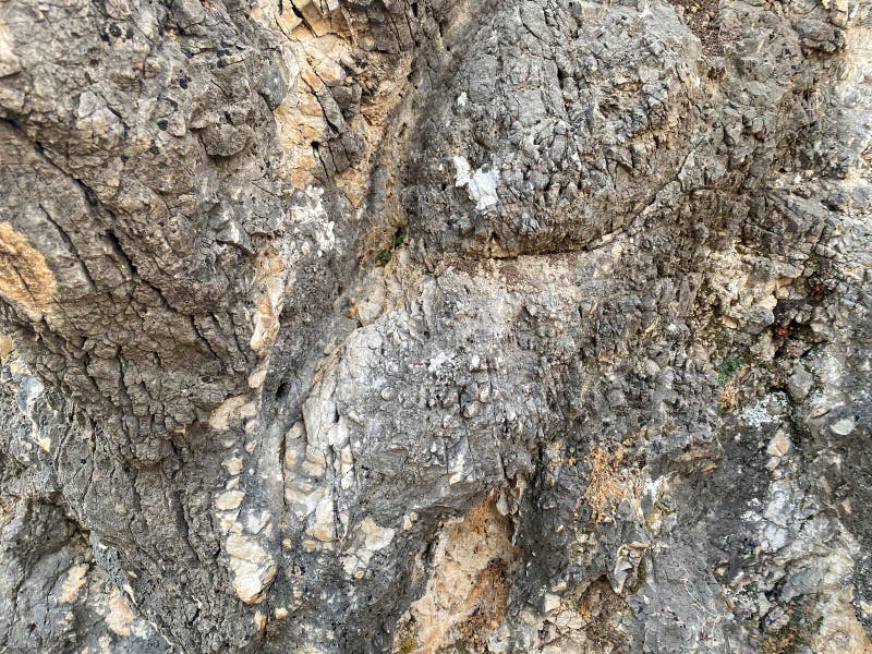 Background, Texture, Stone Natural Gray Surface Natural Sharp Convex ...