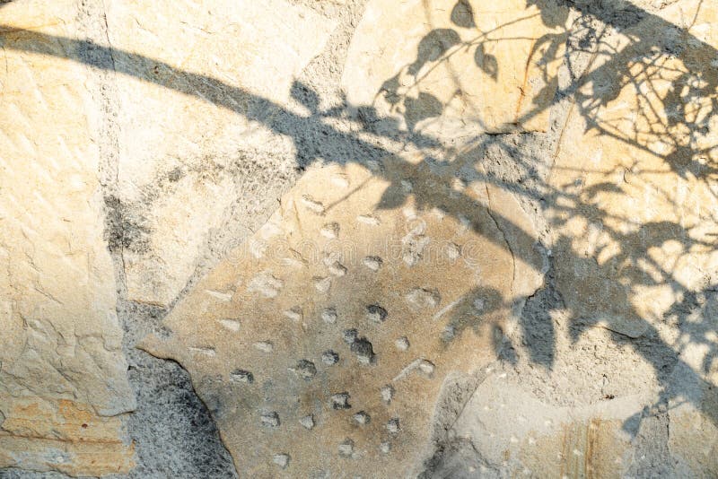 Background Texture of Stone Wall. Stone Wall or Floor with Copy Space ...
