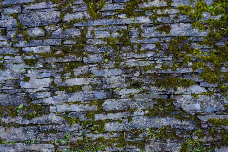 Stone Wall Texture and Background. High Resolution Stock Image - Image ...
