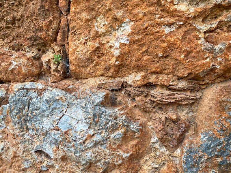 Background, Texture, Stone Wall of Round Stones Cobblestones Bricks ...