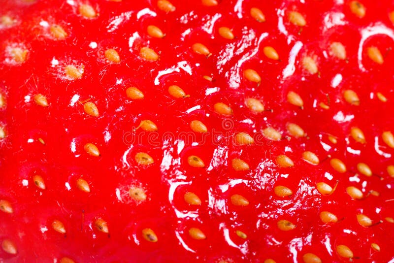 Background Texture Strawberry Stock Image - Image of large, food: 24510301