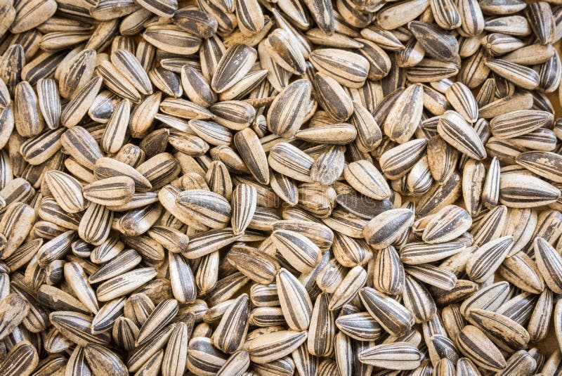 Background Texture of Sun Flower Seed Stock Photo - Image of salty ...