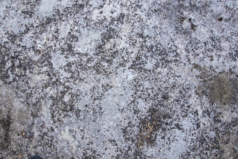 Background Texture Surface Old Cement Floors Dirty on Street Stock ...
