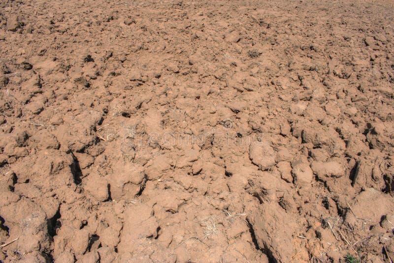 Background Texture of Tilled Soil in a Crop Field Stock Image - Image ...