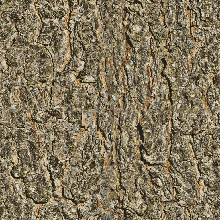 4,031 Seamless Pine Bark Texture Stock Photos - Free & Royalty-Free ...