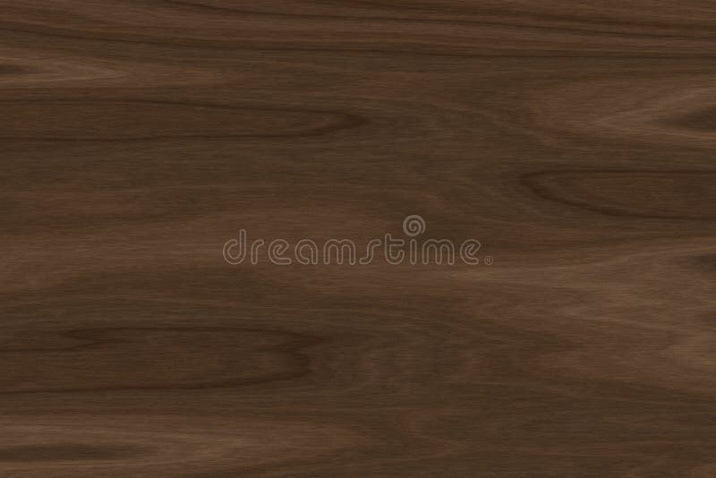 Walnut Wood Vector