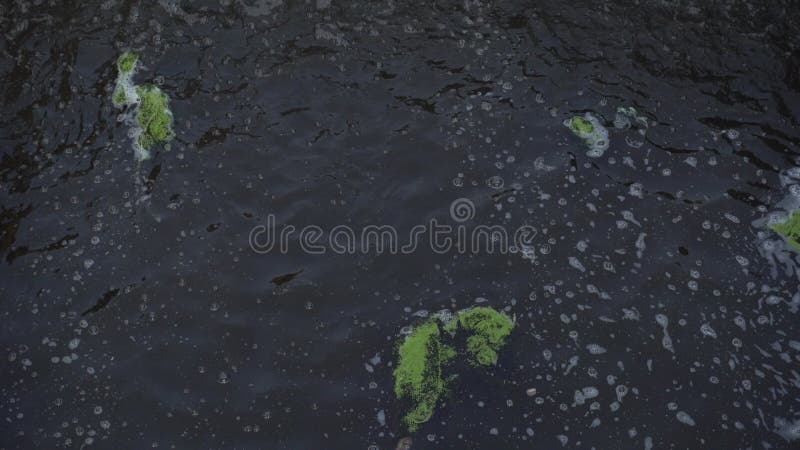 Background Texture Water Moss Bubbles Foam Stock Footage - Video of ...
